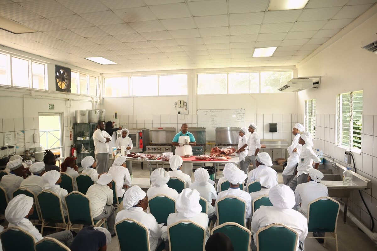 Enhancing Student Learning Through Interactive Live Demonstrations ...